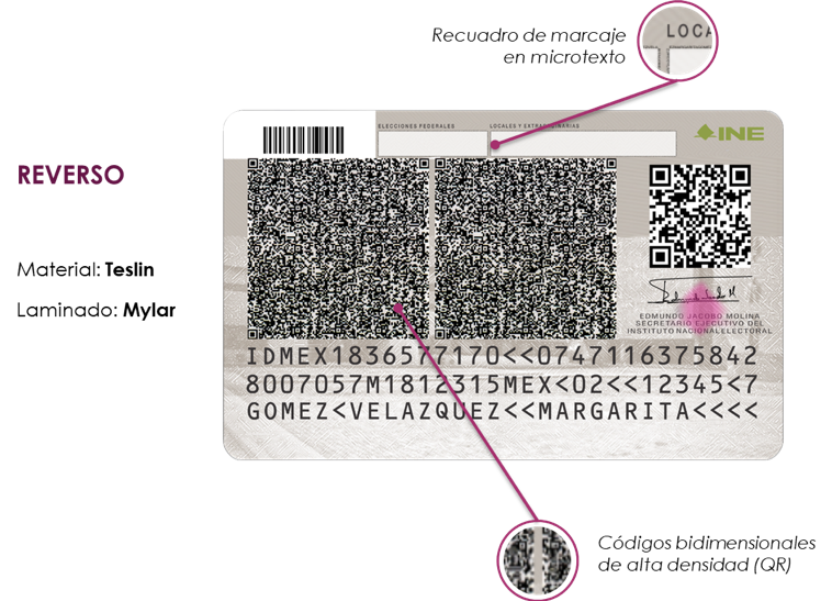 Actualiza INE modelo de Credencial para Votar - Central Electoral