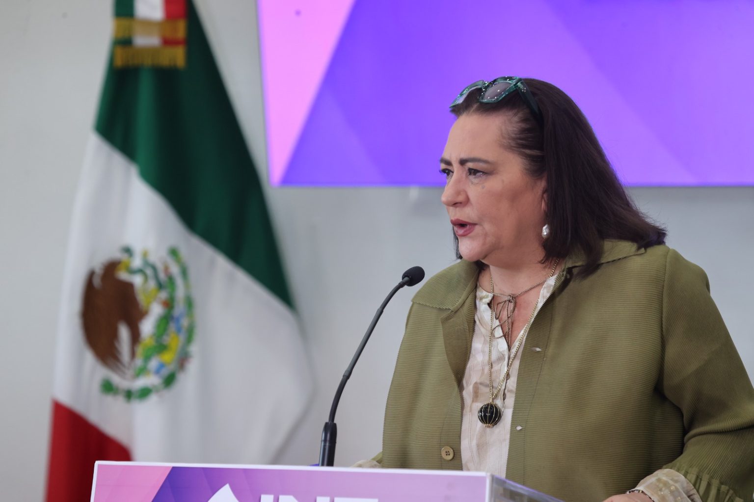 Aportará INE toda la argumentación técnica necesaria para demostrar la ...